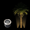 Best way to light up a palm trees | Hondel Lighting